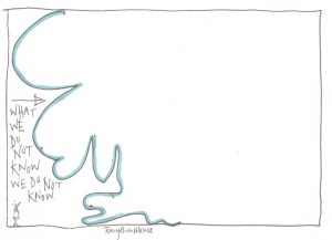 what we do not know we do not know | THIN|SILENCE